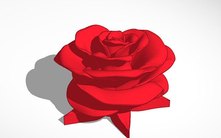 3D design chris smith 3d rose | Tinkercad