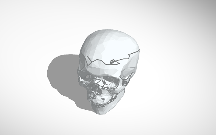 3D design Skeleton Skull | Tinkercad
