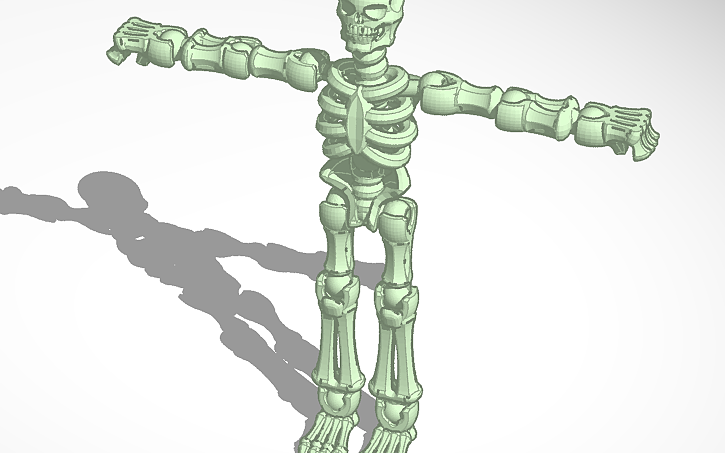 3D design Skeleton | Tinkercad