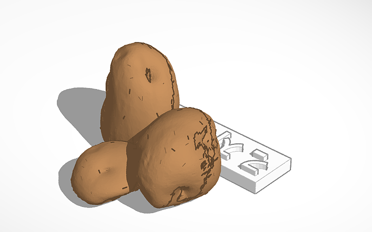 3d Design Potato Tinkercad