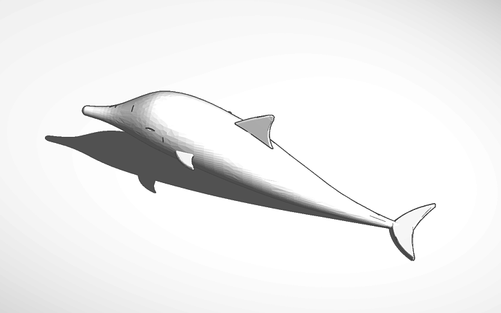 3D design Dolphin | Tinkercad