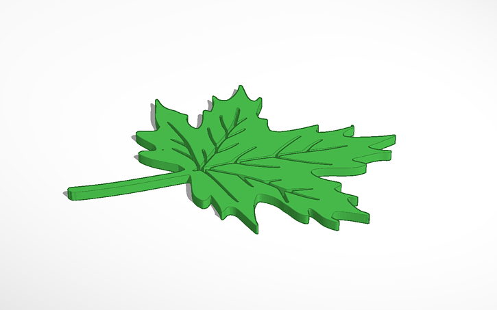 3D design LEAF | Tinkercad