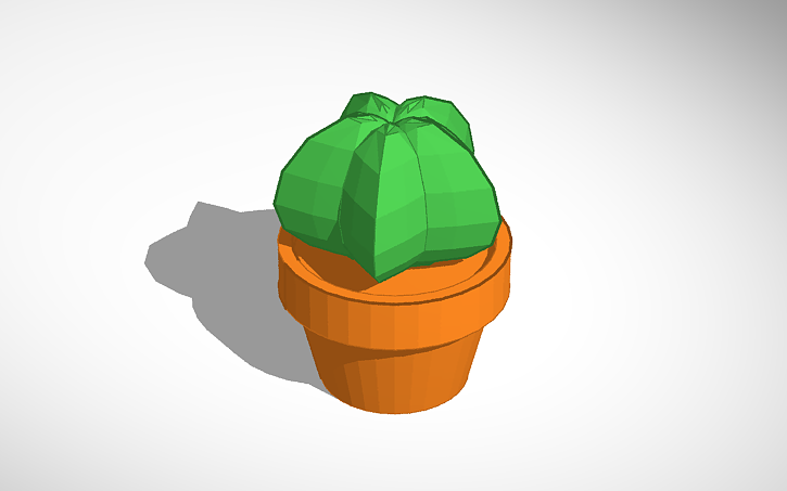 3d Design Cactus Tinkercad