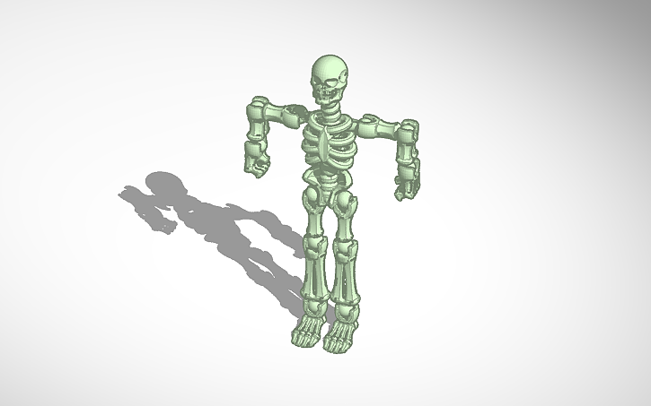 3D design Skeleton | Tinkercad