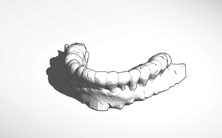 3D design Jaw with Teeth | Tinkercad