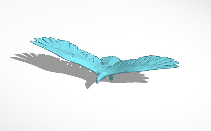 3D design Flying Eagle | Tinkercad