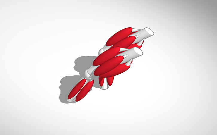 3D design HUMAN LEG | Tinkercad
